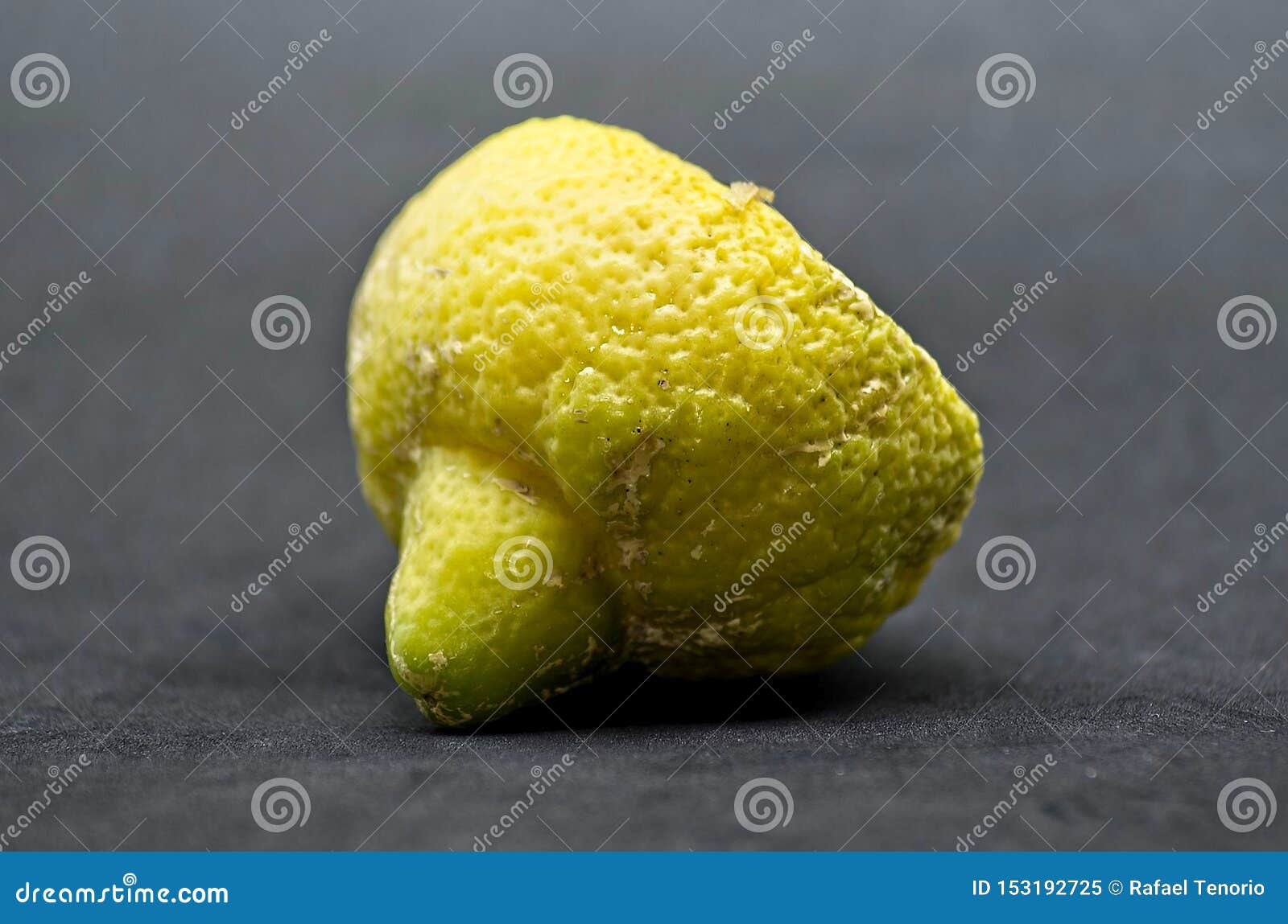 Rotten Lemon Stock Photos - Download 599 Royalty Free Photos