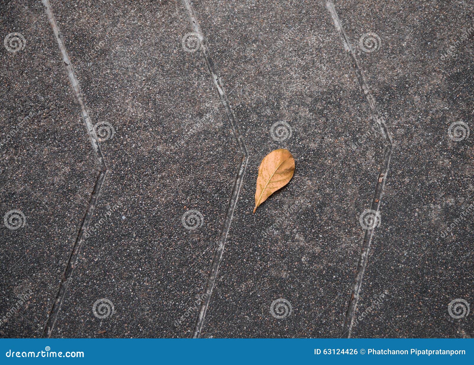 A Rotten Leaf stock photo. Image of loneliness, pavement - 63124426
