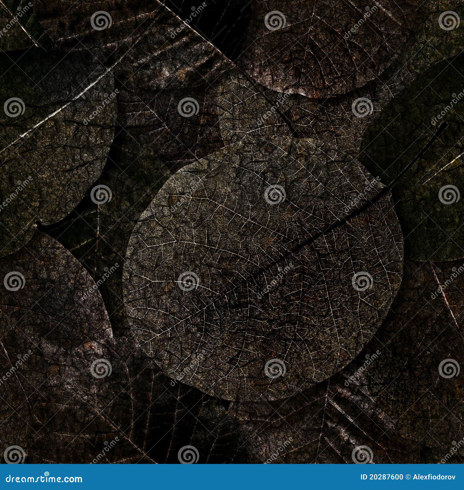 Rotten Leafs Seamless Background. Stock Photo - Image of detail ...