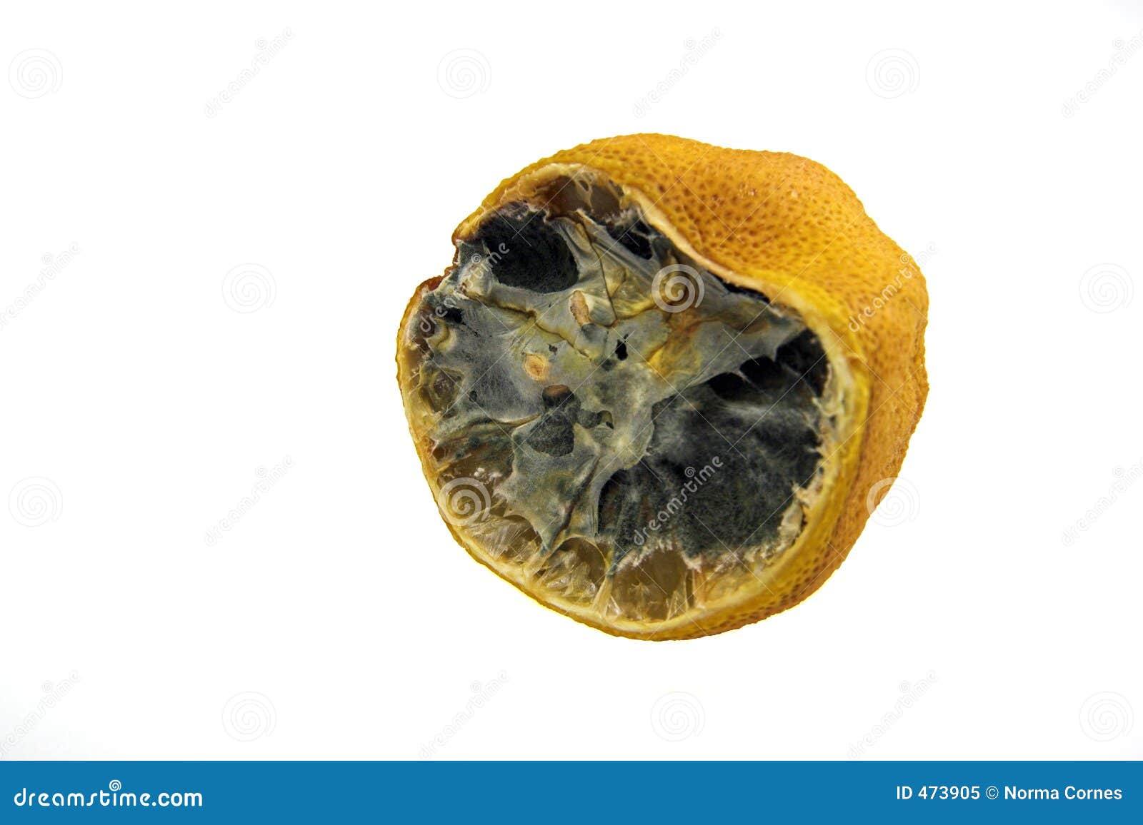 Rotten Lemon Royalty Free Stock Photo - Image: 473905