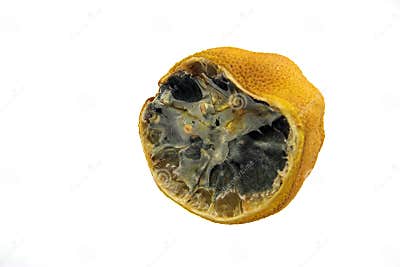 Rotten lemon stock image. Image of uneatable, decay, round - 473905