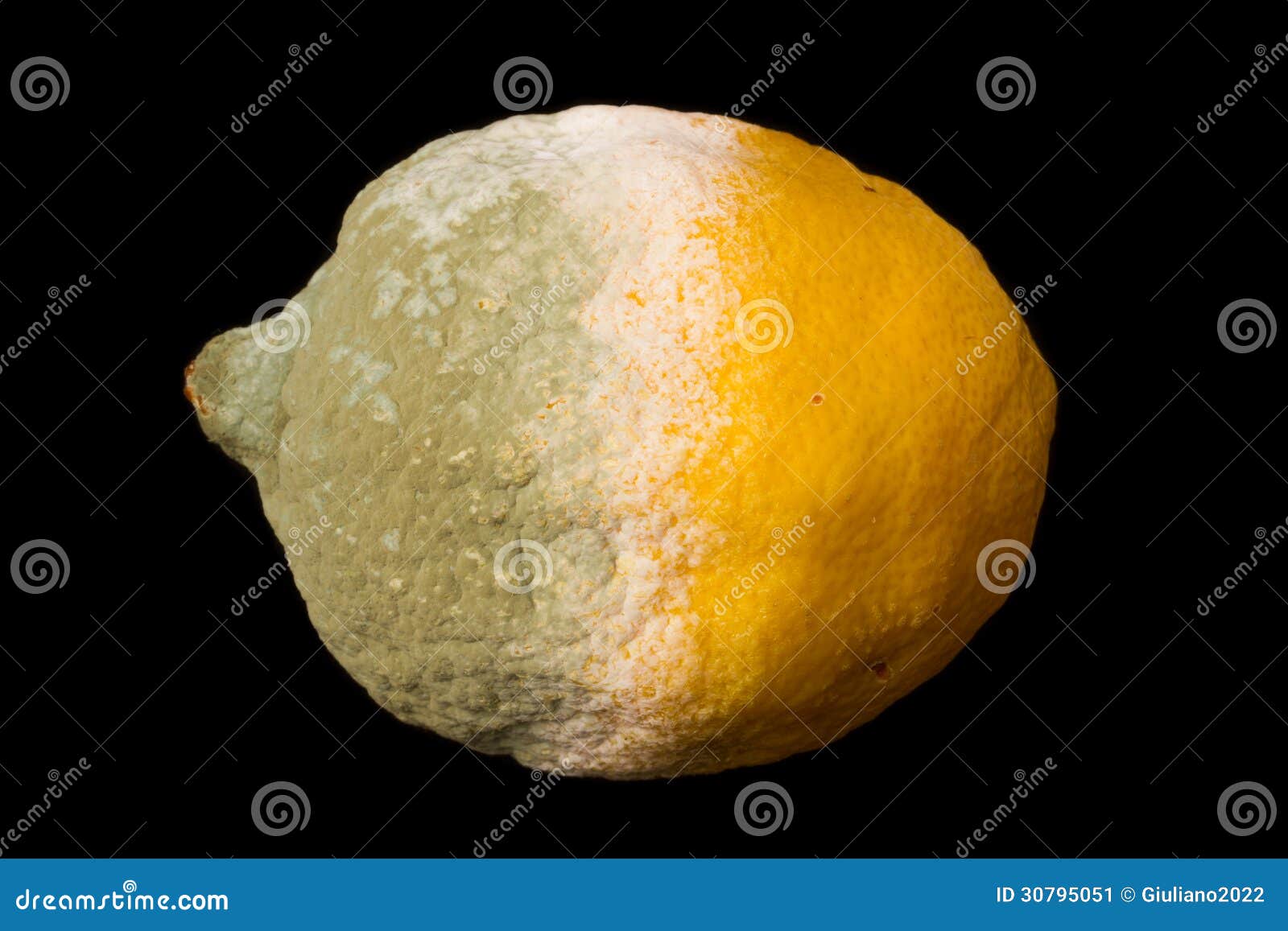 Rotten Lemon Stock Image - Image: 30795051