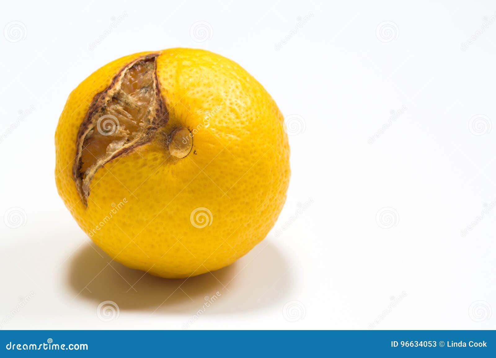 Rotten Lemon Isolated On White Justified Left Stock Image - Image of ...