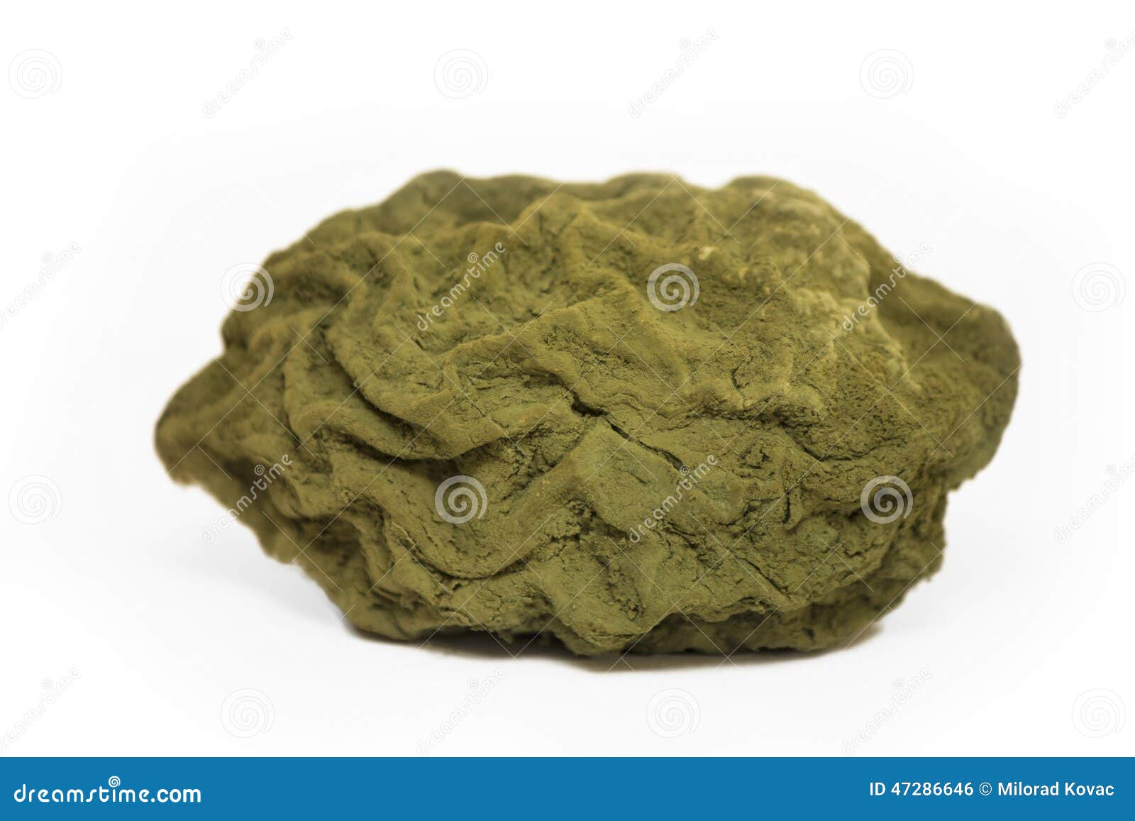Rotten lemon stock photo. Image of decompose, penicillium - 47286646
