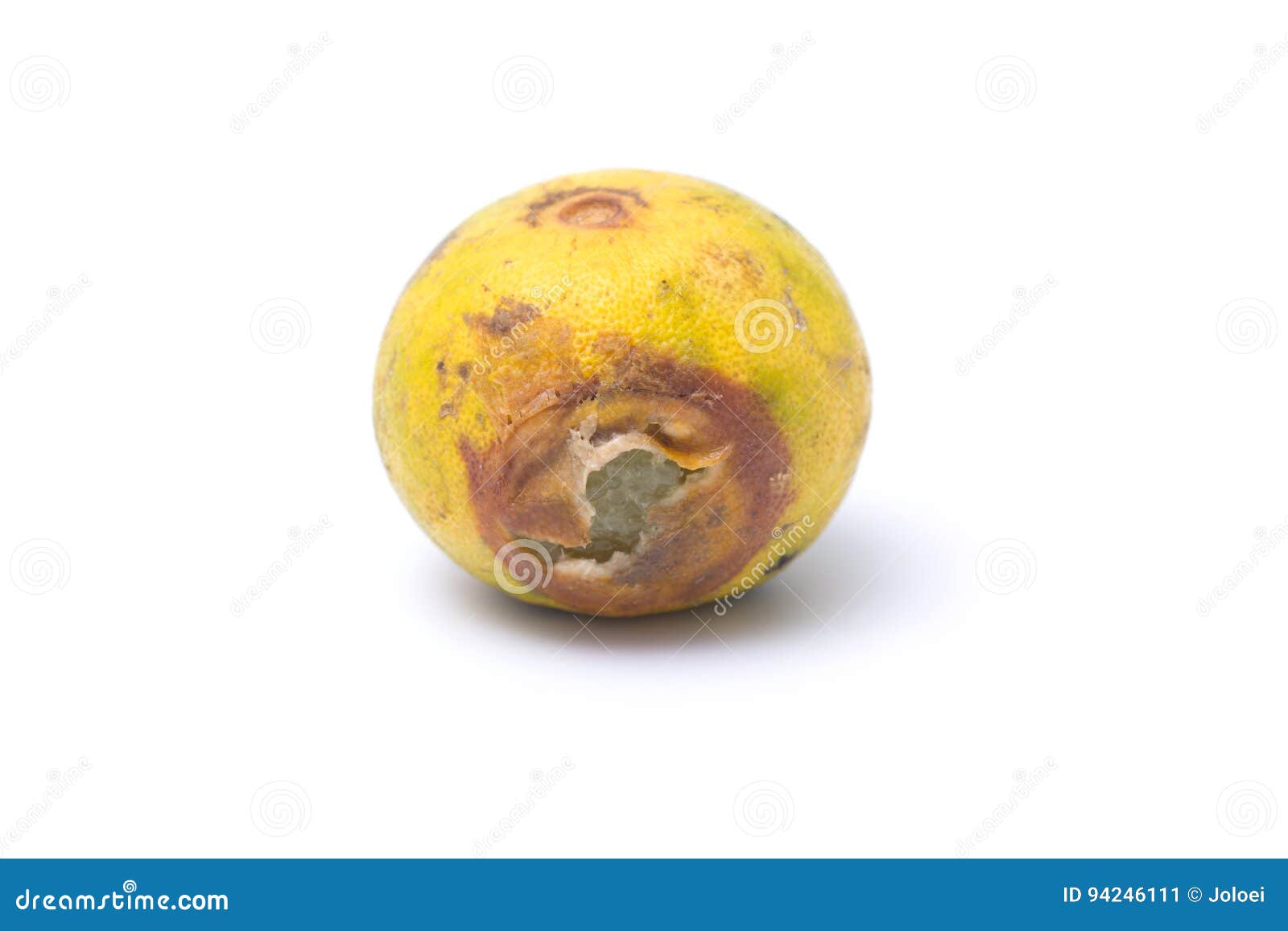 Rotten lemon stock image. Image of putrid, moldy, food - 94246111
