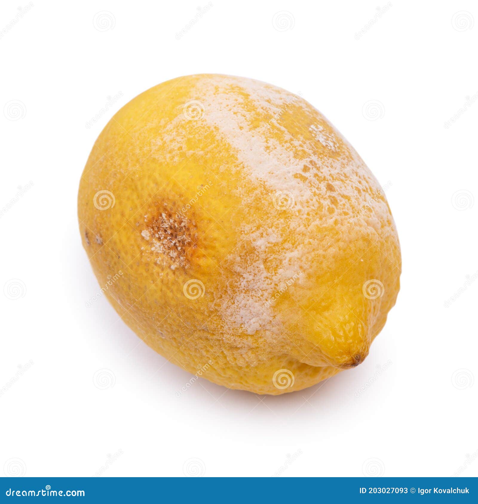 Rotten lemon with mold stock image. Image of damaged - 203027093