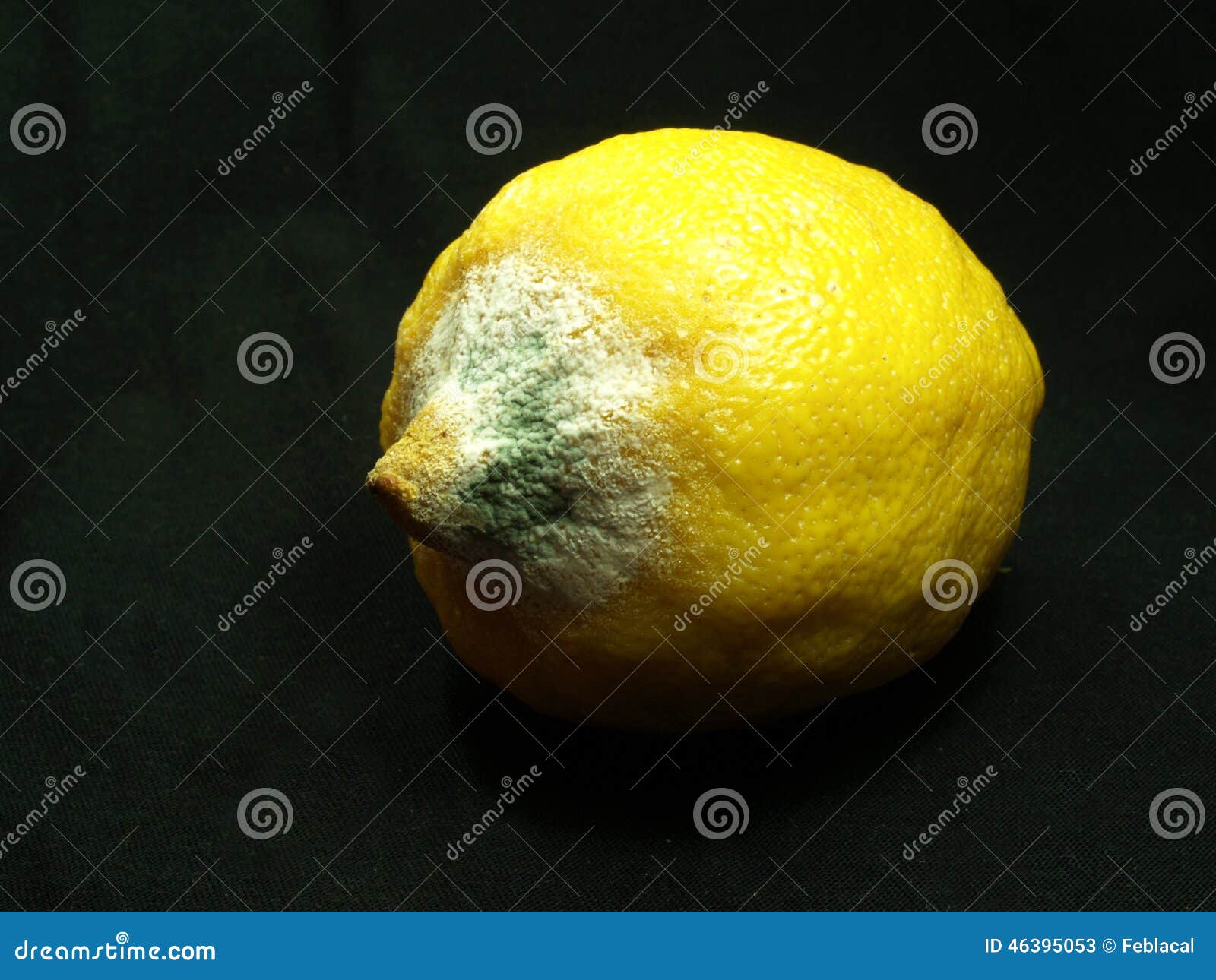 Rotten lemon stock image. Image of green, mould, rear - 46395053