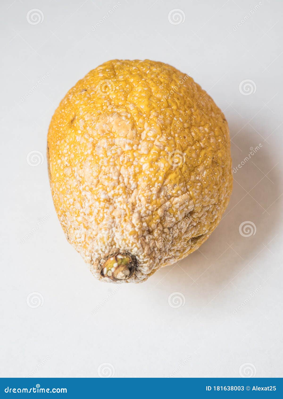 Rotten lemon isolated stock image. Image of spoilage - 181638003