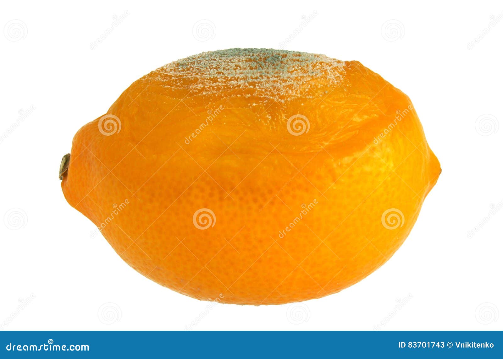 Rotten lemon on white stock image. Image of green, languish - 83701743