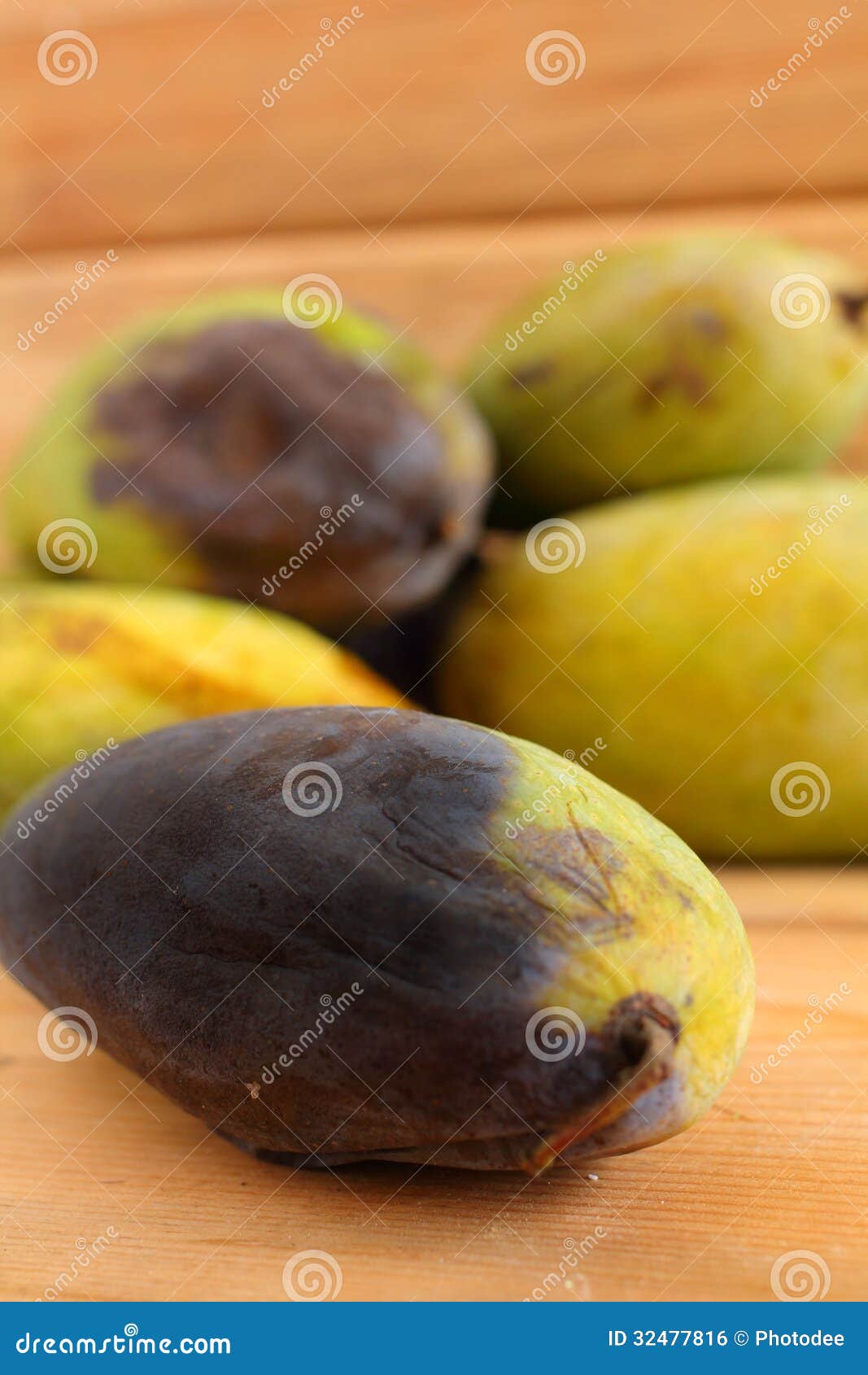 Rotten mango. stock photo. Image of dirty, ripe, mildewed - 32477816