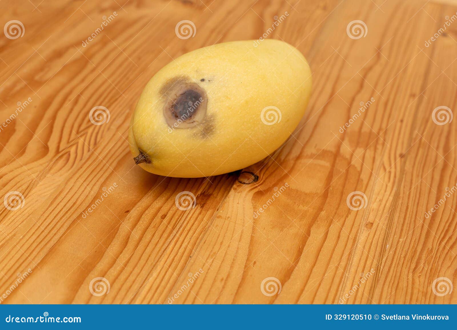 Rotten Mango, Decomposing Mango Ageing Stock Photo - Image of disgust ...