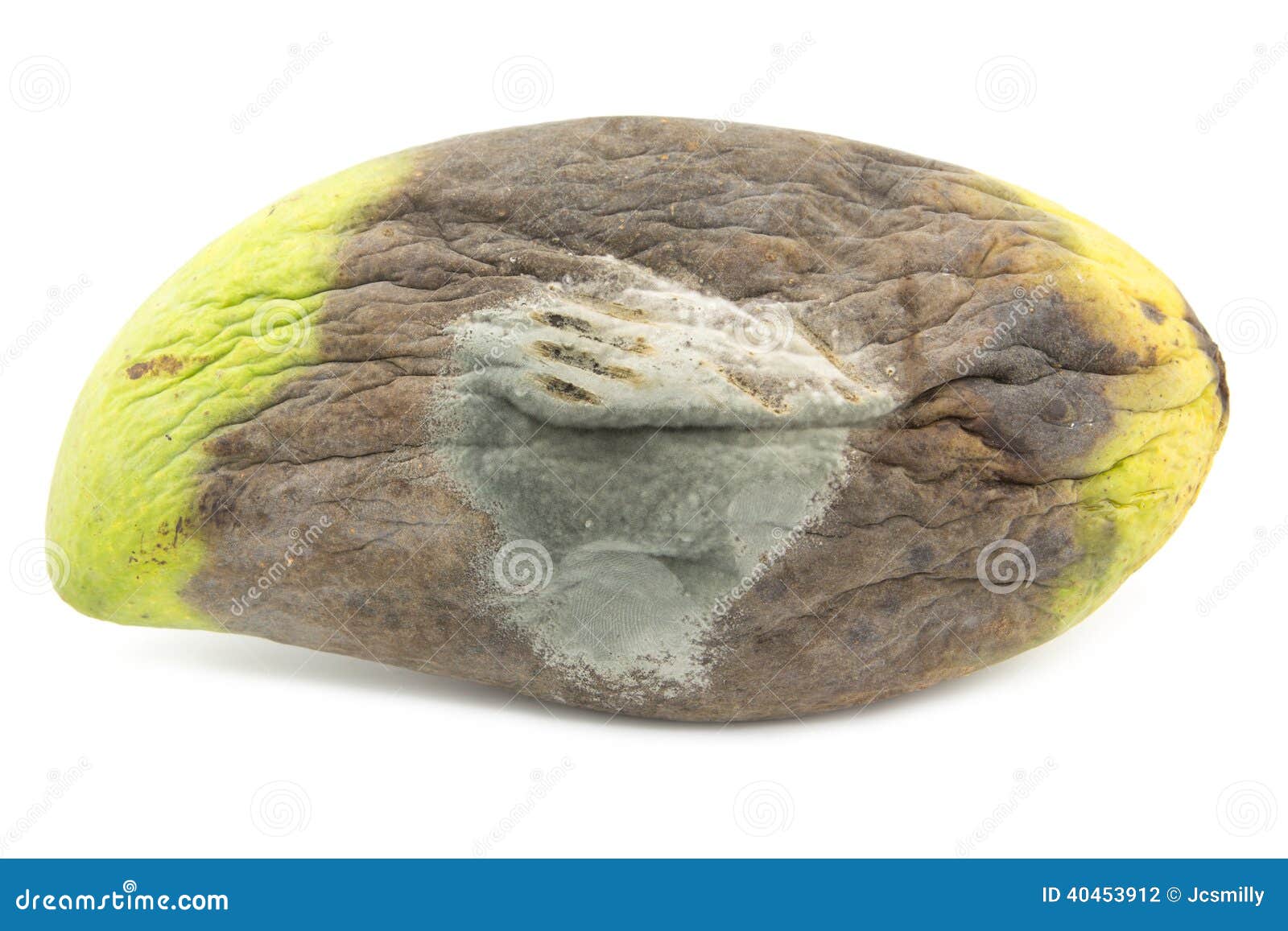 Rotten Mango. Stock Photography | CartoonDealer.com #32477816