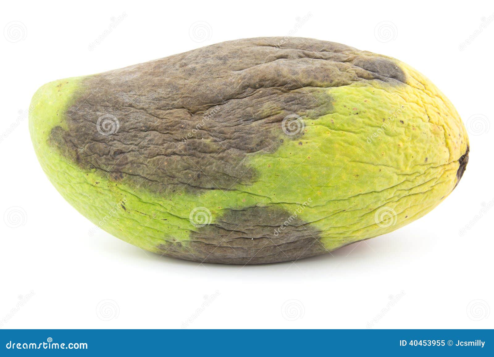 Rotten Mango. Stock Photography | CartoonDealer.com #32477816