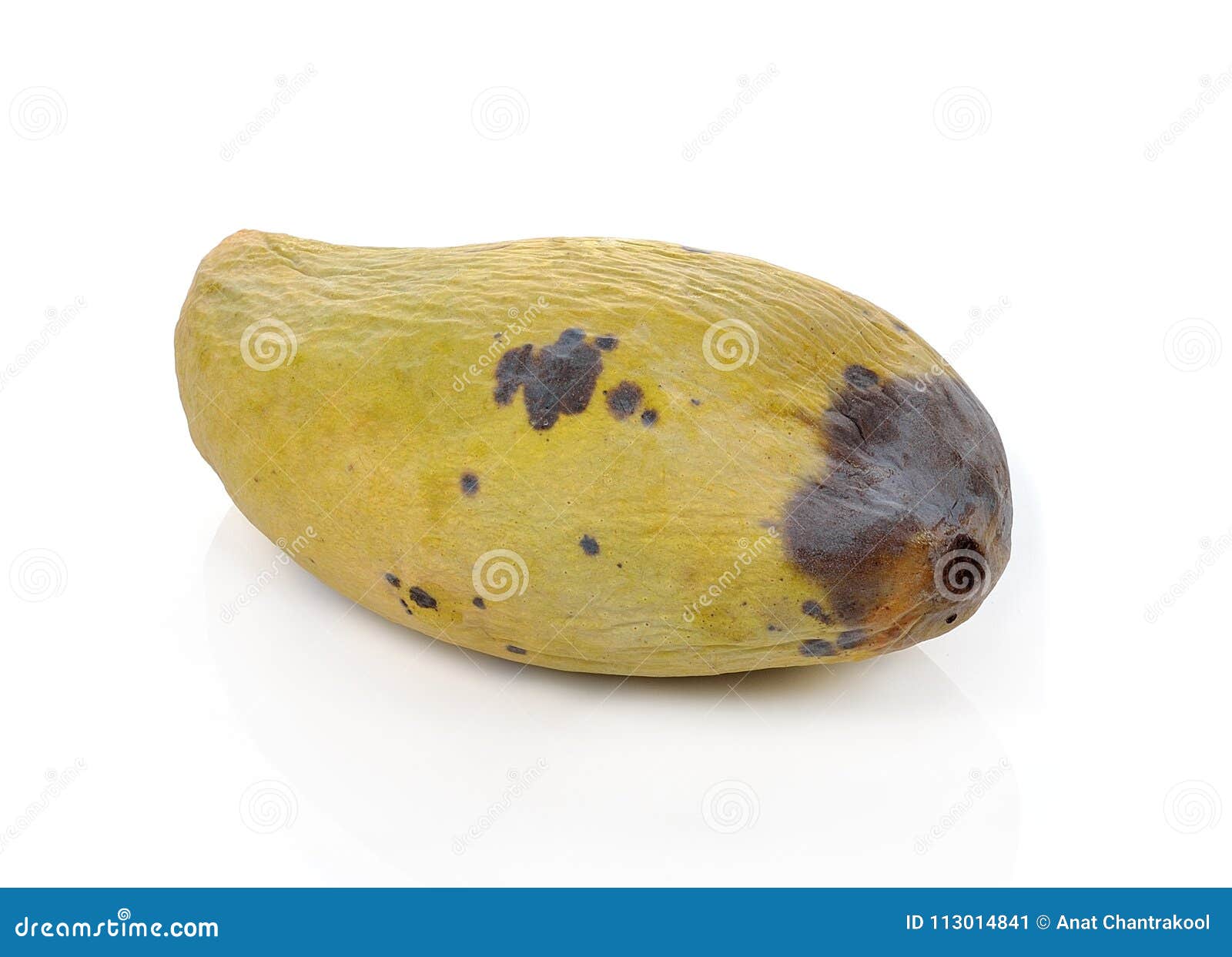 Rotten Mangoes Isolated On White Background Royalty-Free Stock Photo ...