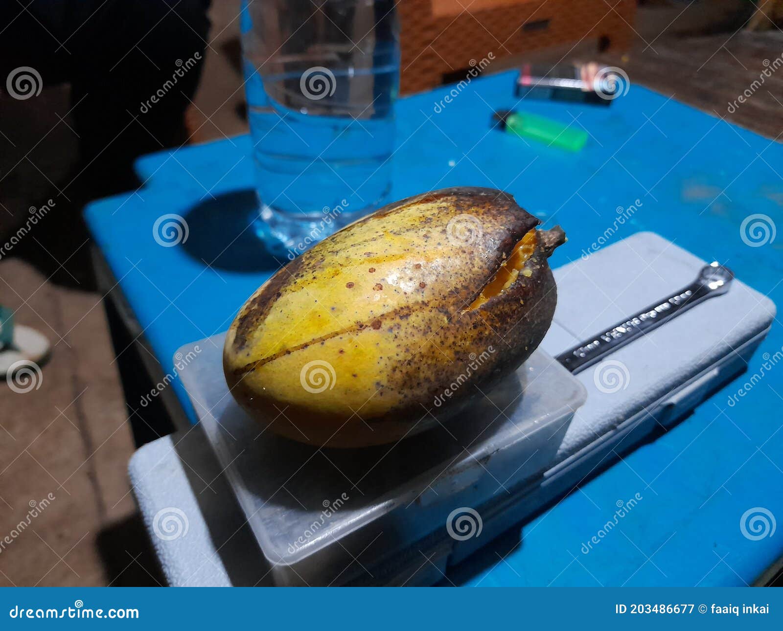 Rotten mangoes night stock image. Image of food, dish - 203486677
