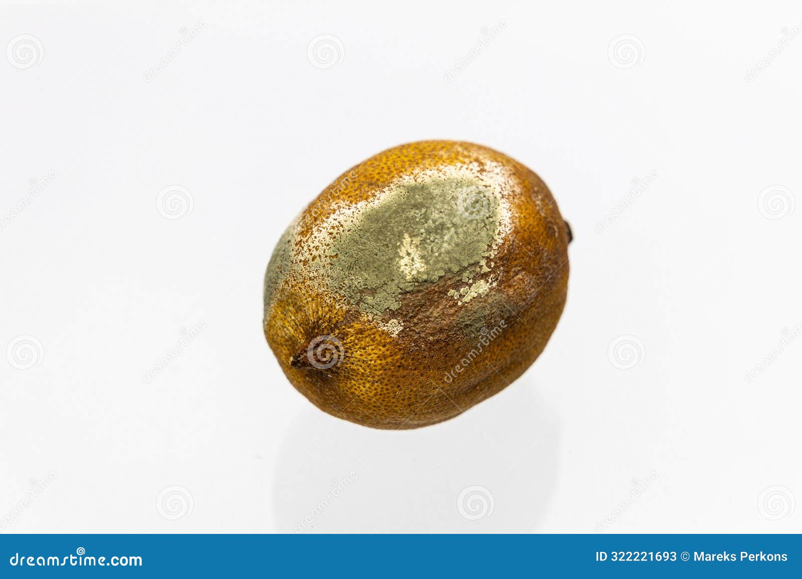 Rotten Molded Lemon on White Background Stock Image - Image of healthy ...