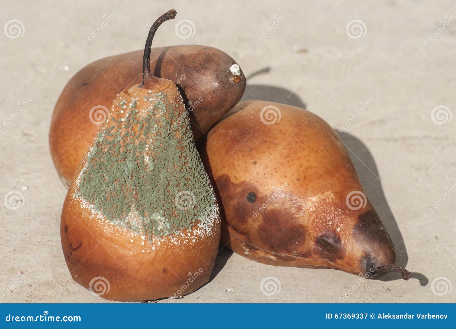 Rotten and moldy pears stock image. Image of inedible - 67369337