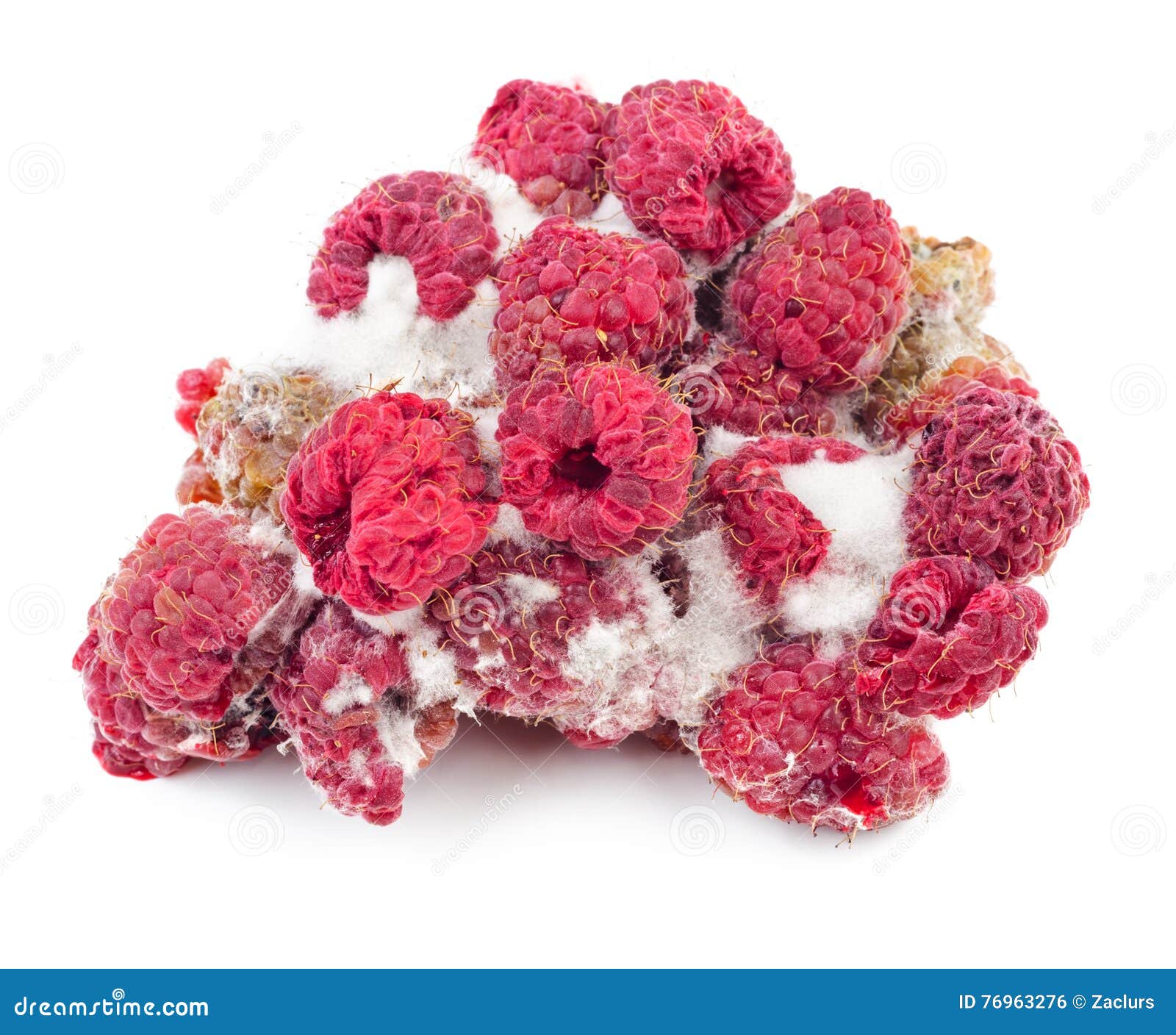 Rotten and Moldy Raspberry on White Stock Photo - Image of crop ...