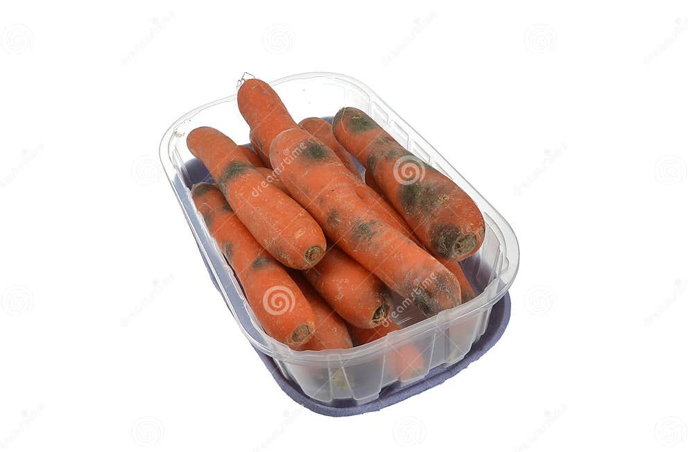 Rotten mouldy carrots stock photo. Image of mold, mouldy - 22016486