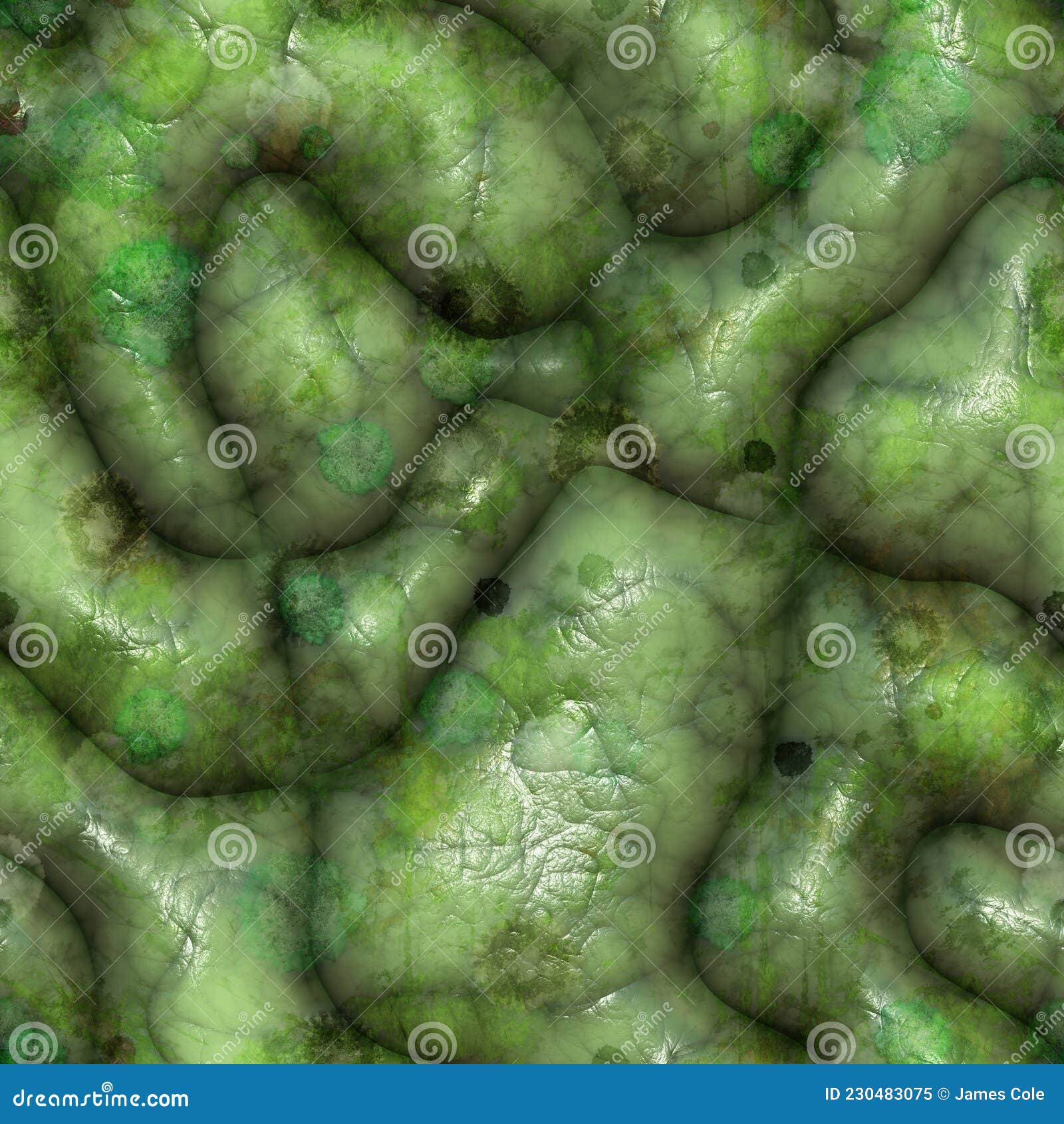 Rotten Green Lime And Fresh Citrus. Food Waste Royalty-Free Stock Photo ...