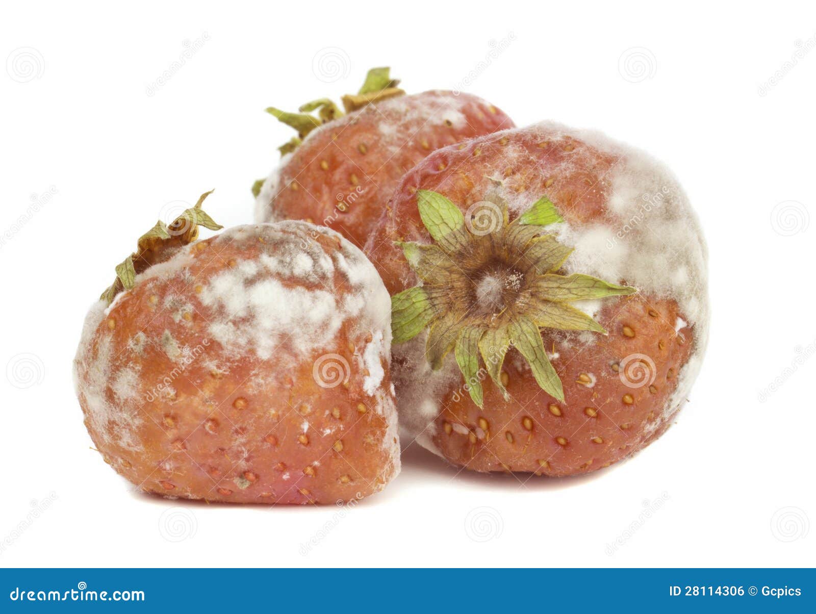 Rotten Mouldy Strawberries Royalty-Free Stock Image | CartoonDealer.com ...