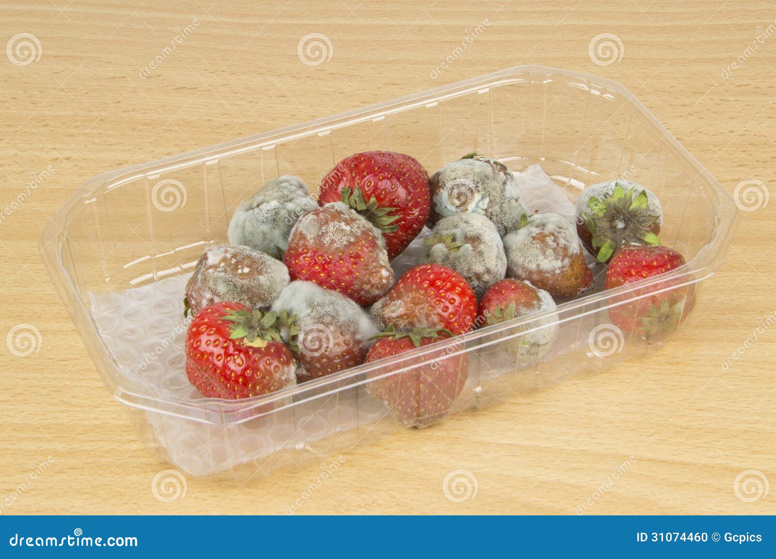 Rotten Mouldy Strawberries stock photo. Image of foul - 31074460