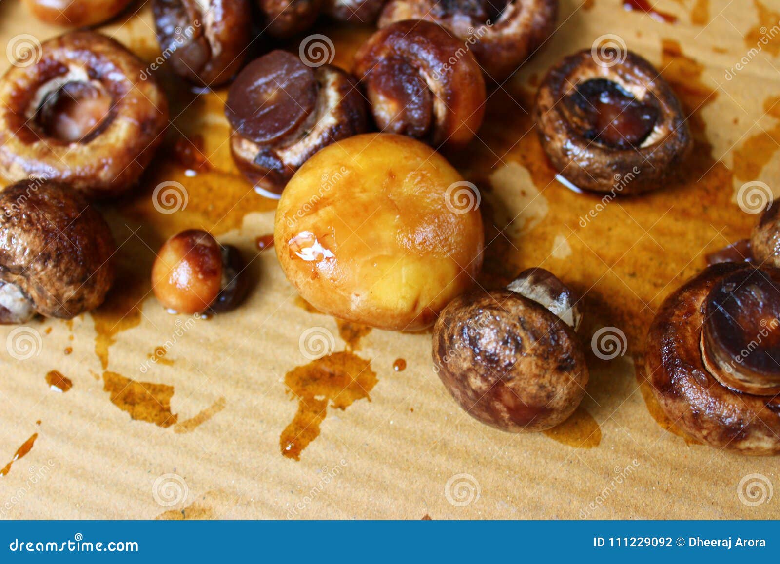 Rotten Mushrooms Background Stock Photo - Image of closeup, mushrooms ...