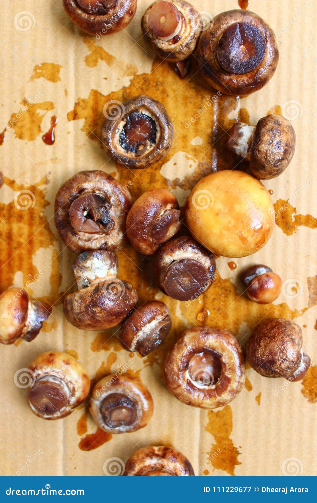 Rotten Mushrooms Background Stock Image - Image of uncooked, mushrooms ...