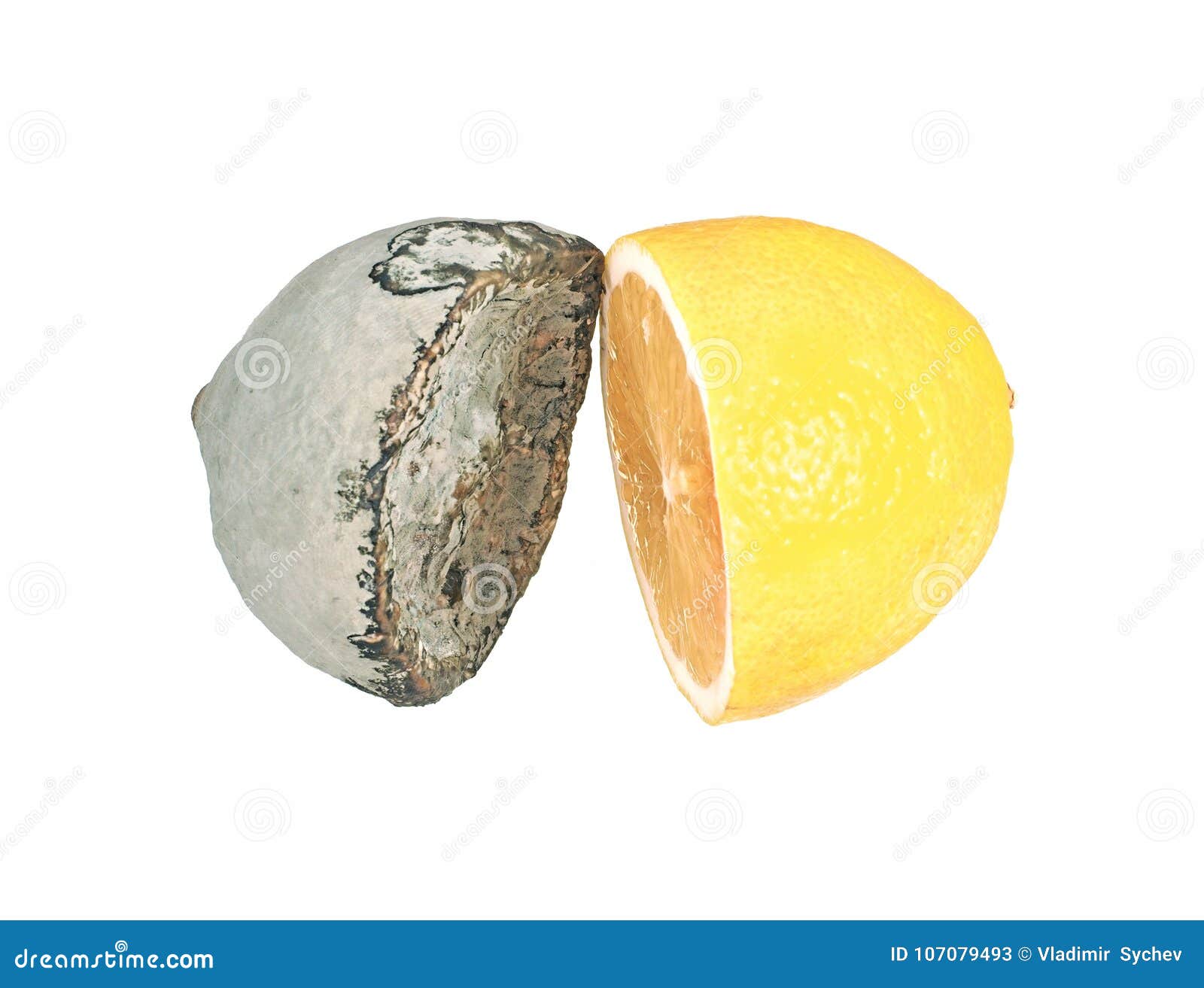 Rotten Lemon With Teeth On Transparent. Stock Illustration ...