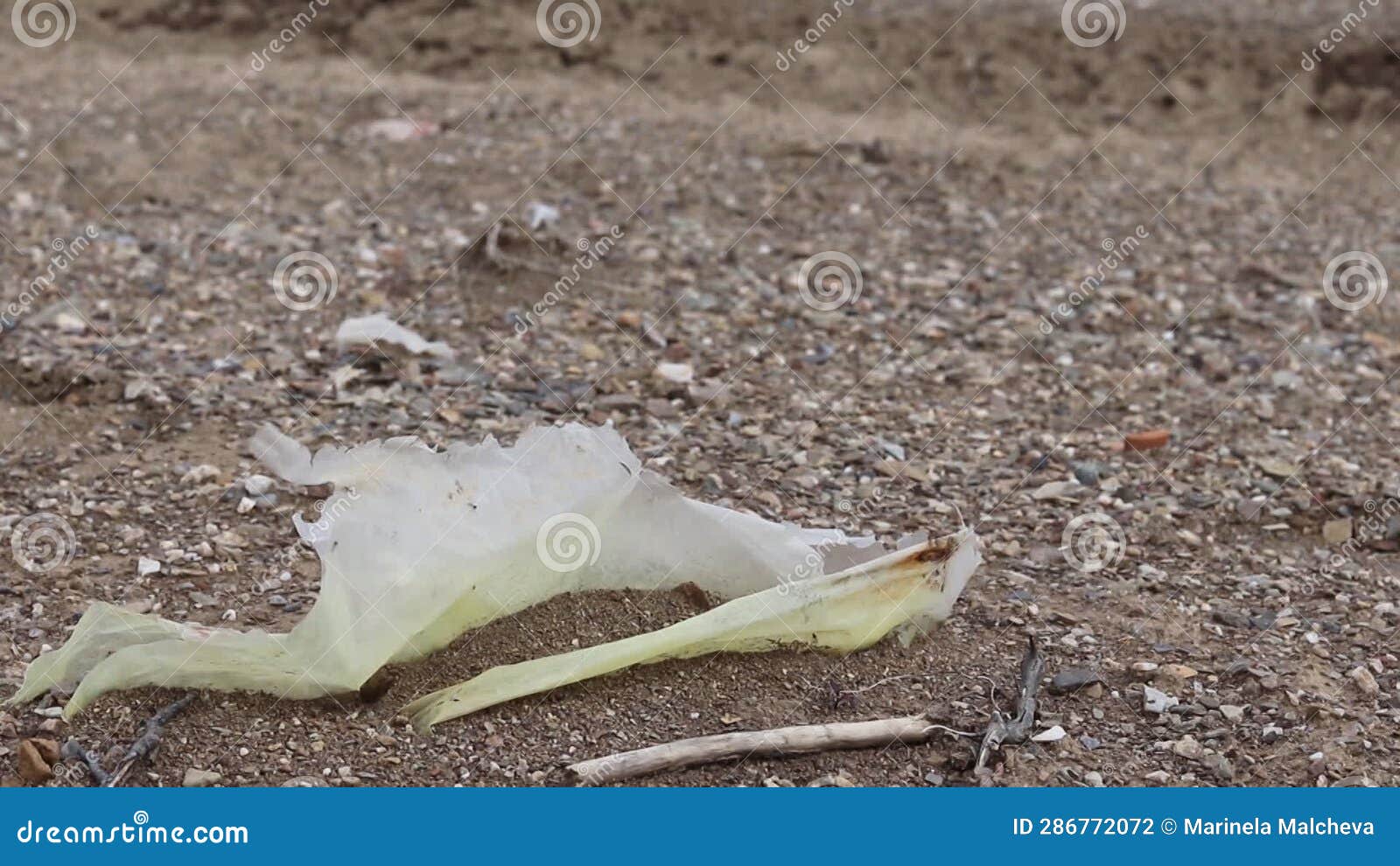 Rotten Nylon Plastic Material on Beach Stock Footage - Video of plastic ...