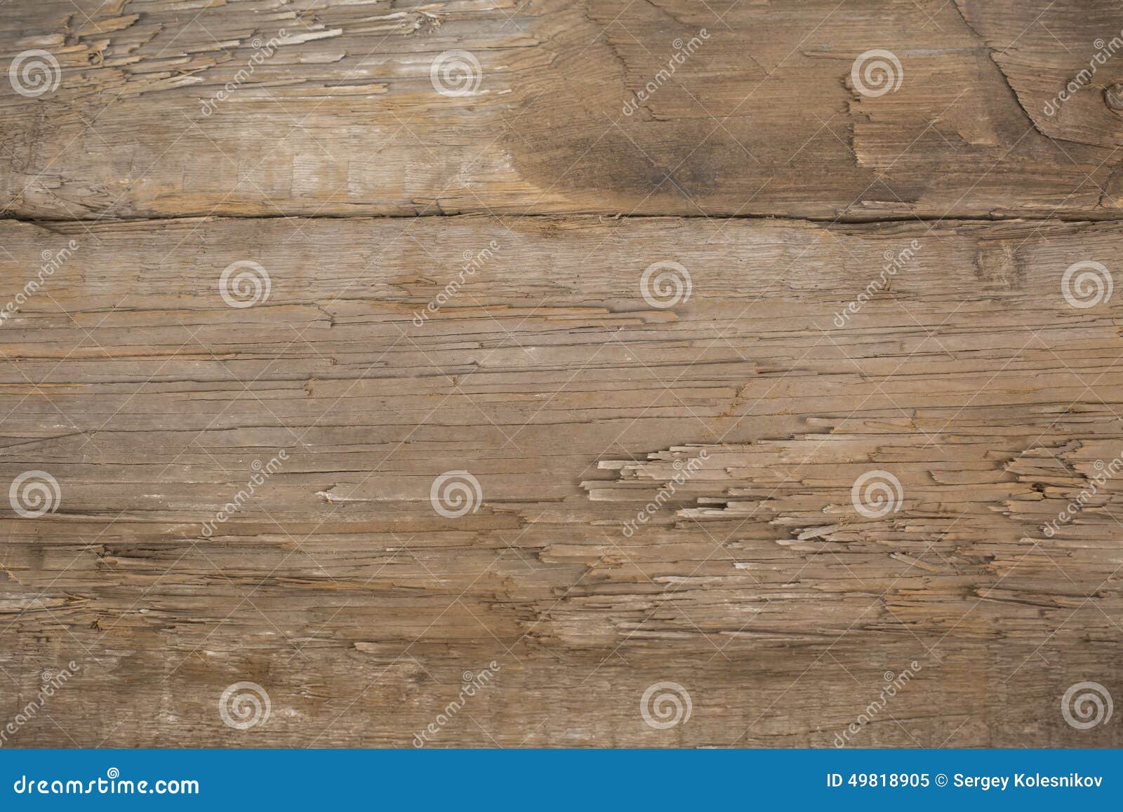 Rotten old boards stock image. Image of wood, boards - 49818905