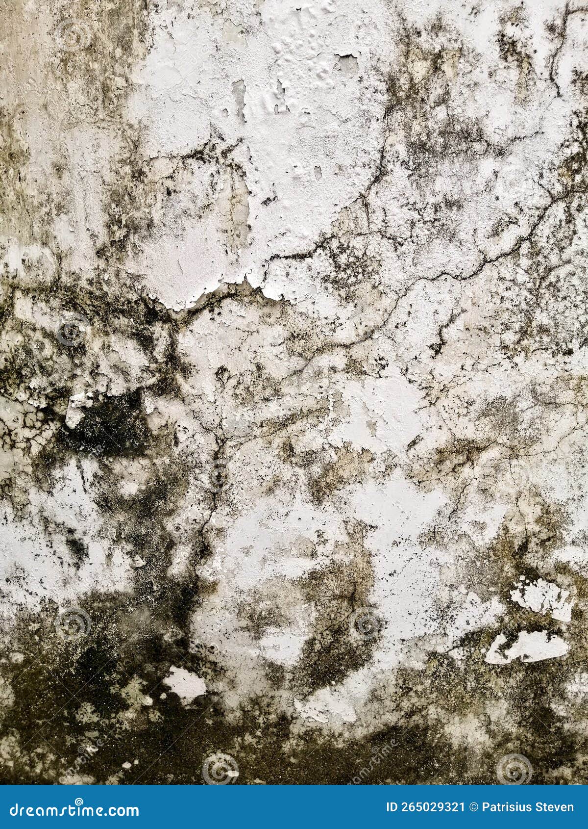 Rotten Old Wall Texture stock image. Image of soil, vintage - 265029321