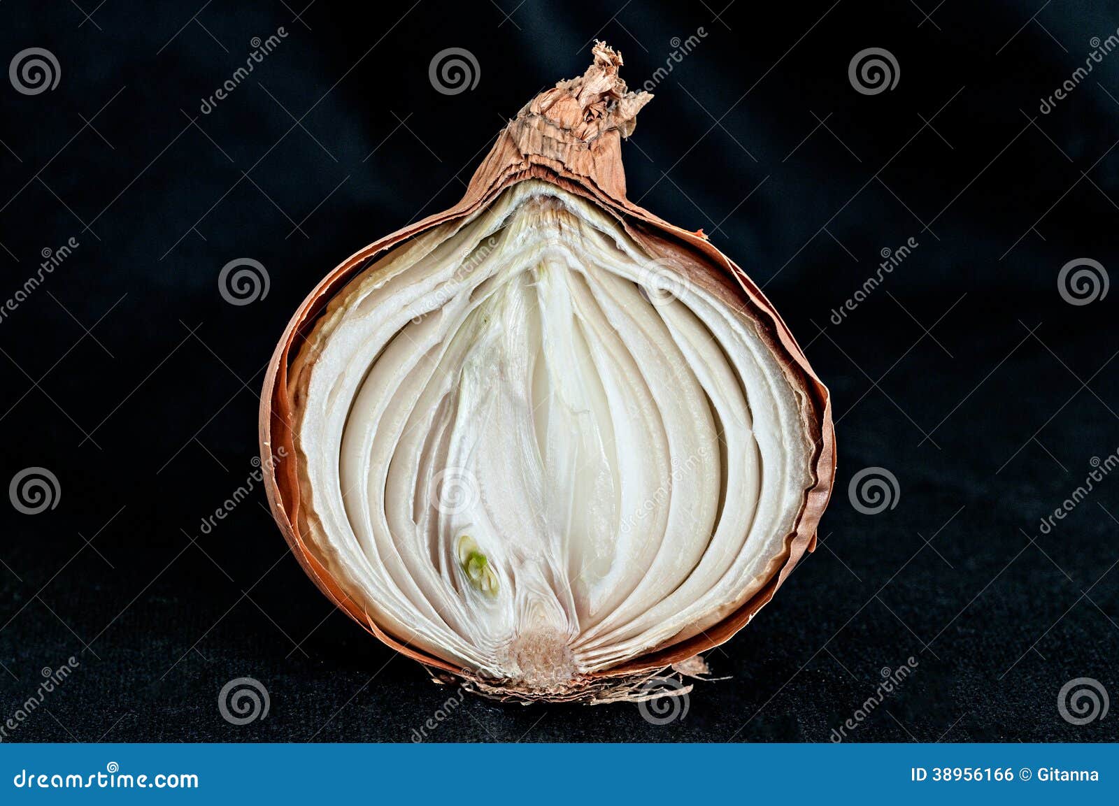 Rotten onion stock photo. Image of grungy, rotten, compost - 38956166