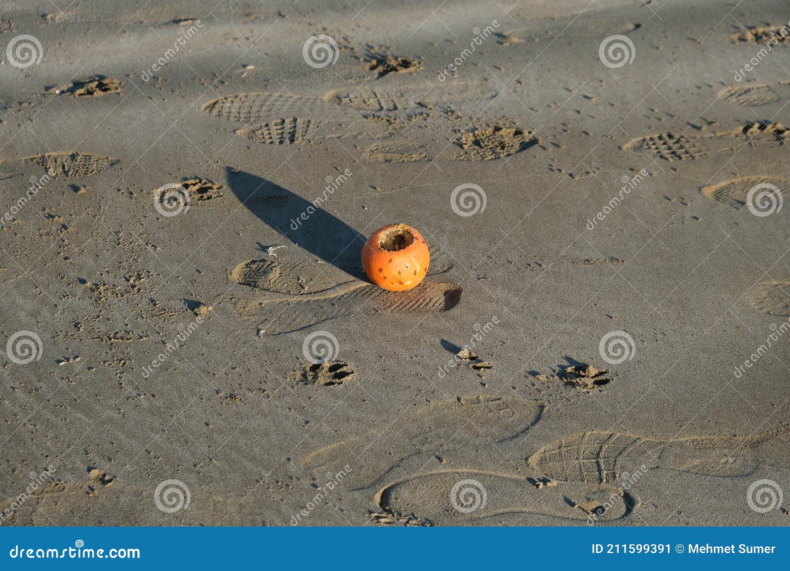 A Rotten Orange on the Beach with Footprint Stock Image - Image of ...