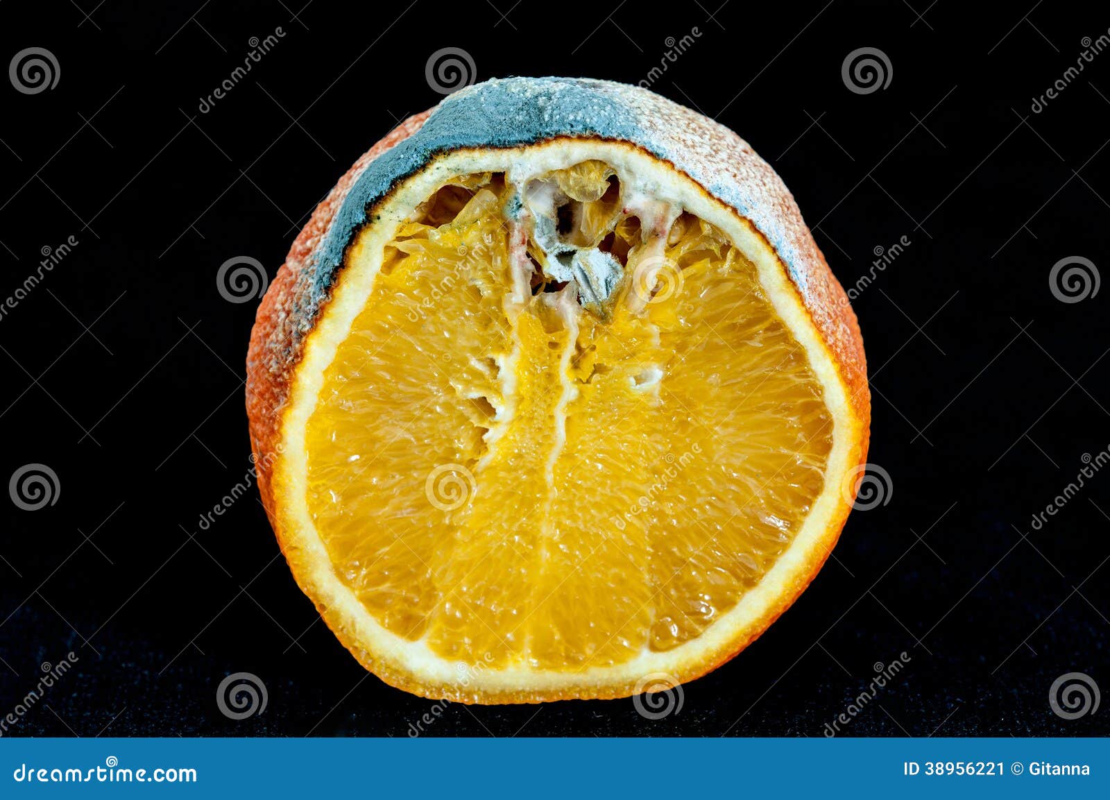 Rotten orange stock image. Image of food, mouldy, orange - 38956221