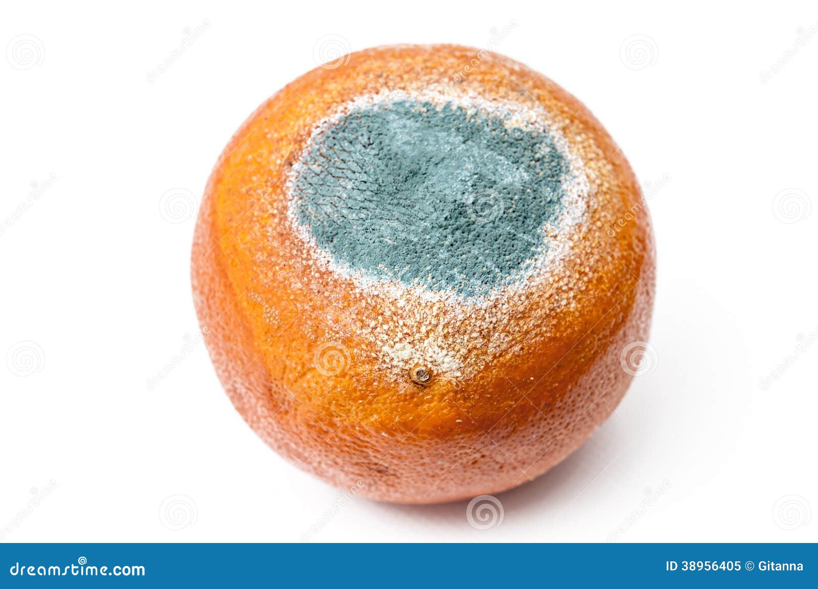 Rotten orange stock image. Image of white, fruit, perishable - 38956405