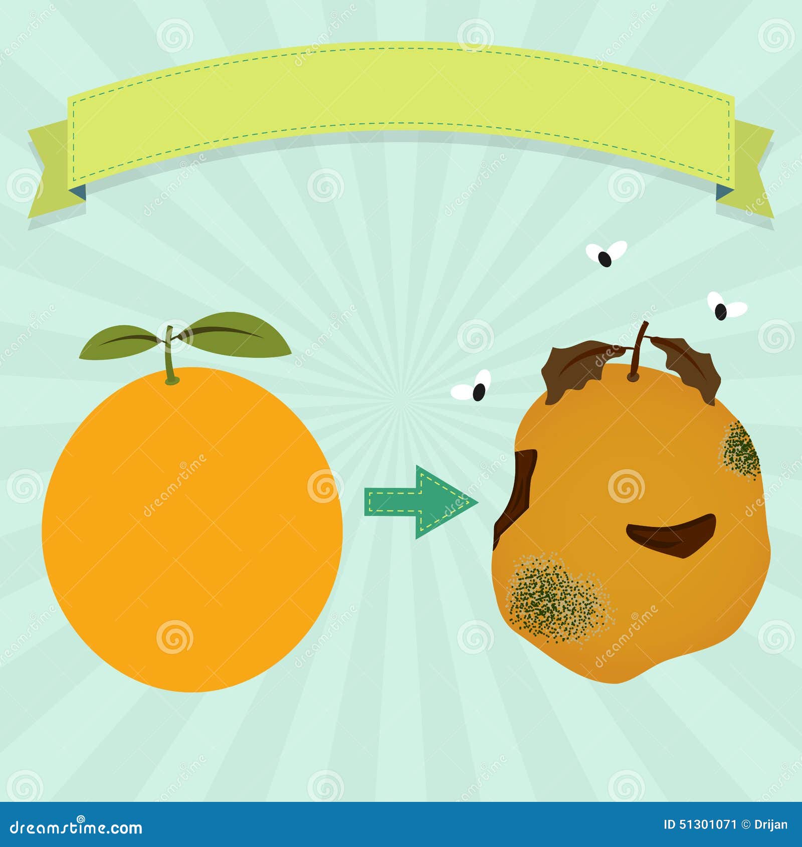 Bad Rotten Orange. Food Waste Vector Isolated. Citrus Fruit Rot Royalty ...