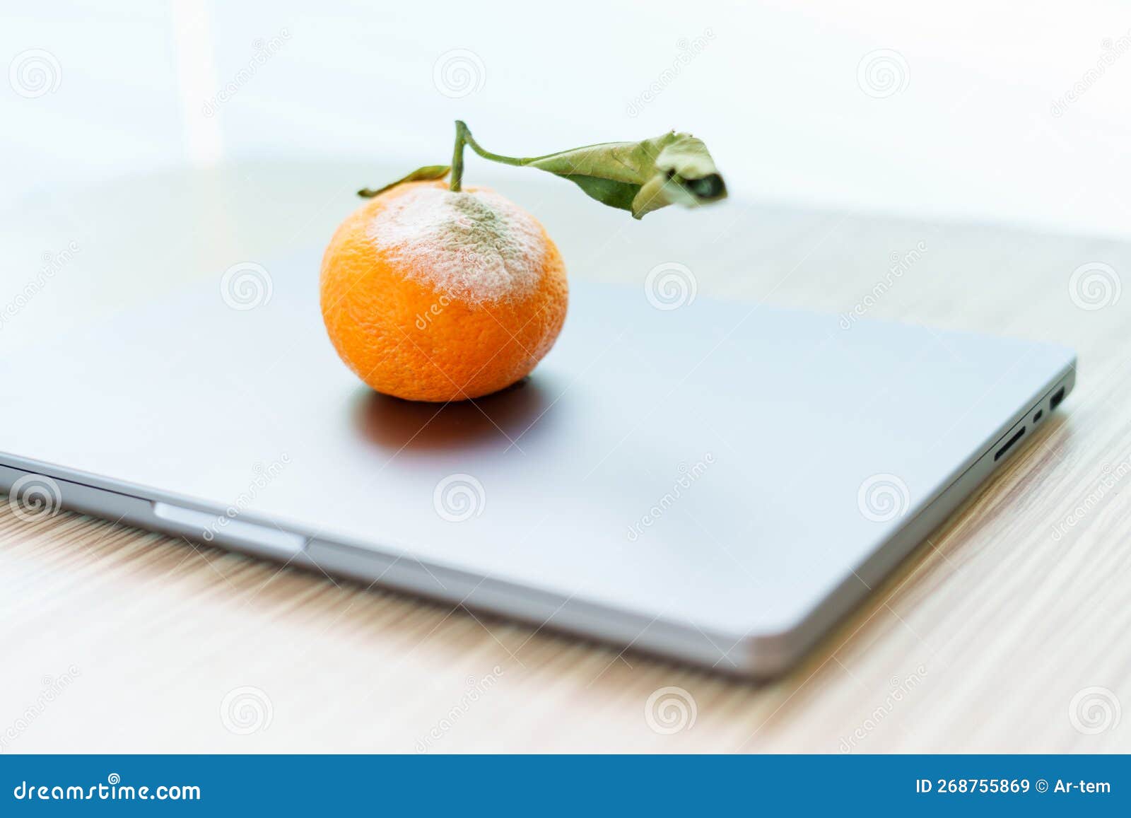 Rotten Orange with Mold on a Closed Laptop Stock Image - Image of ...