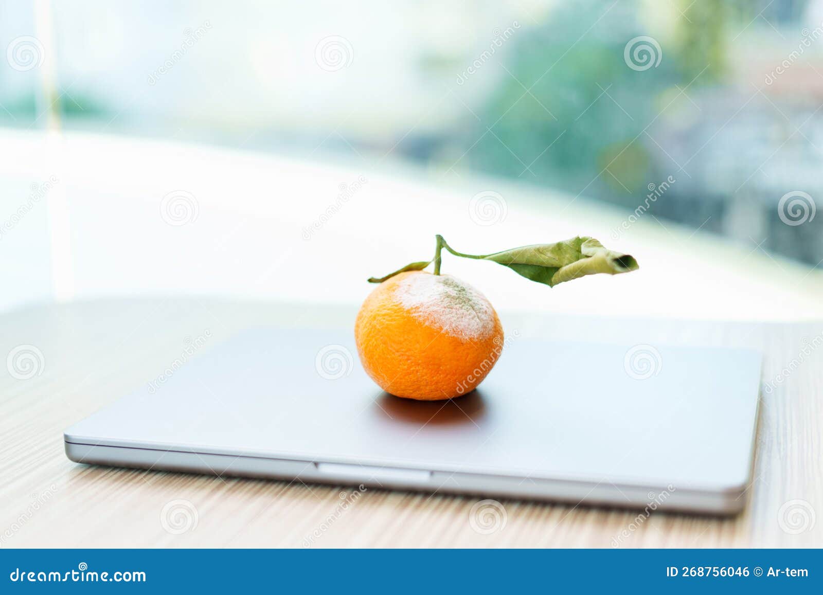 Rotten Orange with Mold on a Closed Laptop Stock Photo - Image of ...