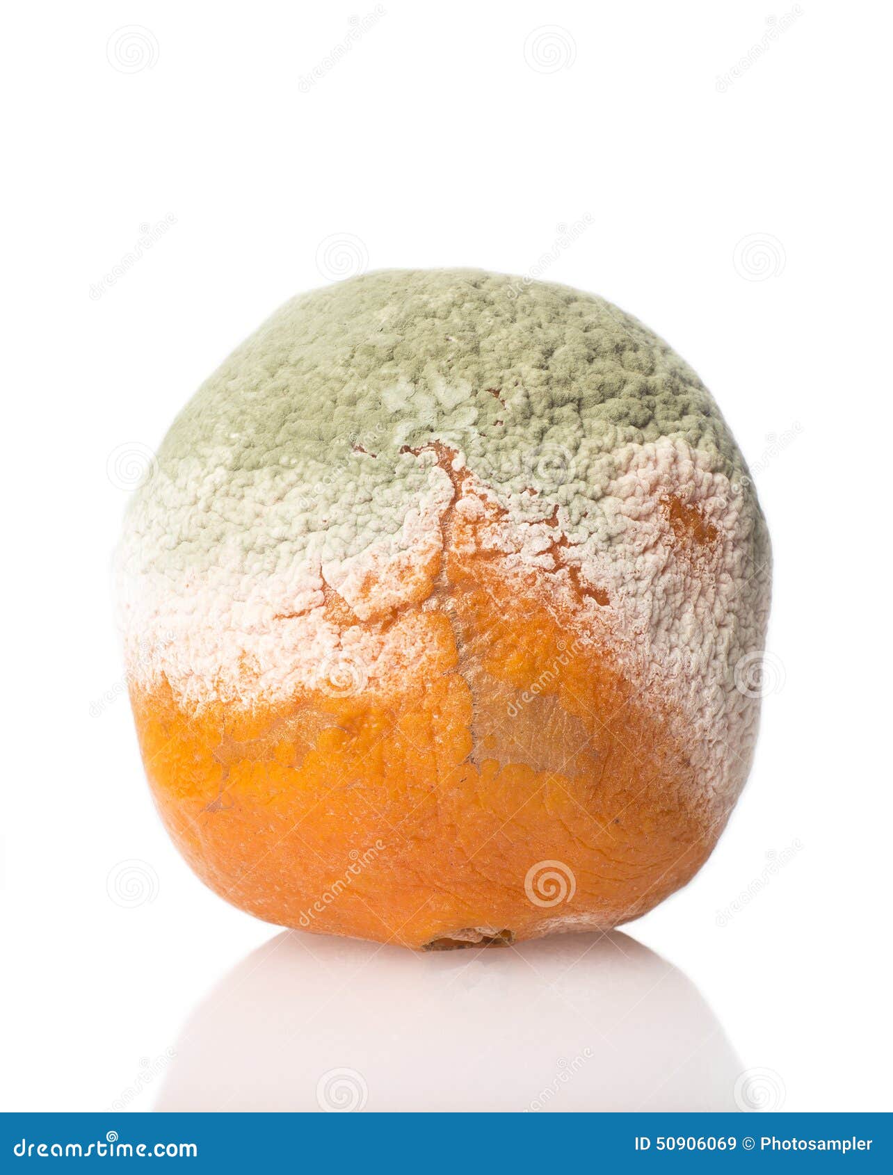 Rotten orange stock image. Image of healthcare, citrus - 50906069