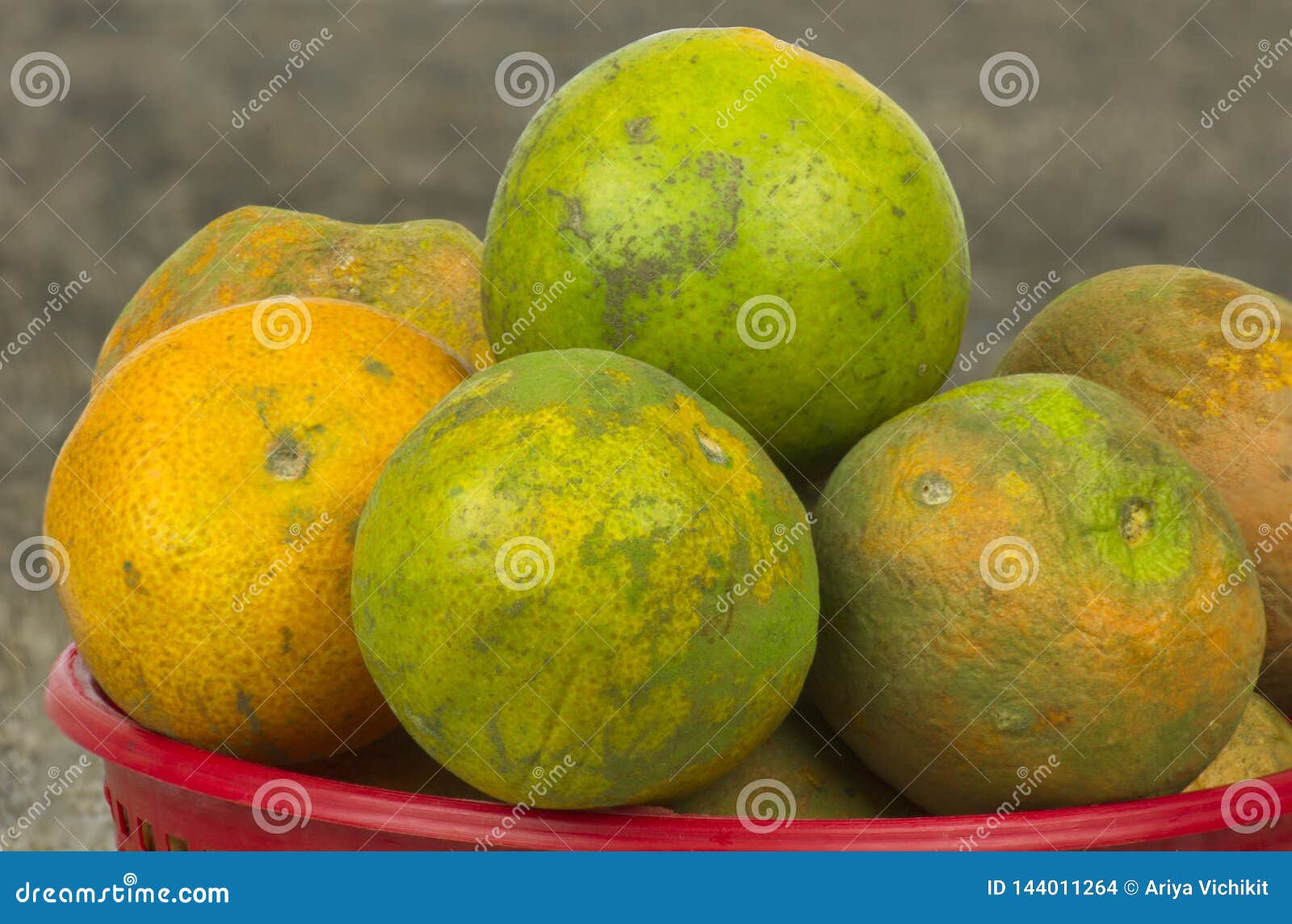 Rotten Orange in a Plastic Basket on Wooden Floor Stock Photo - Image ...