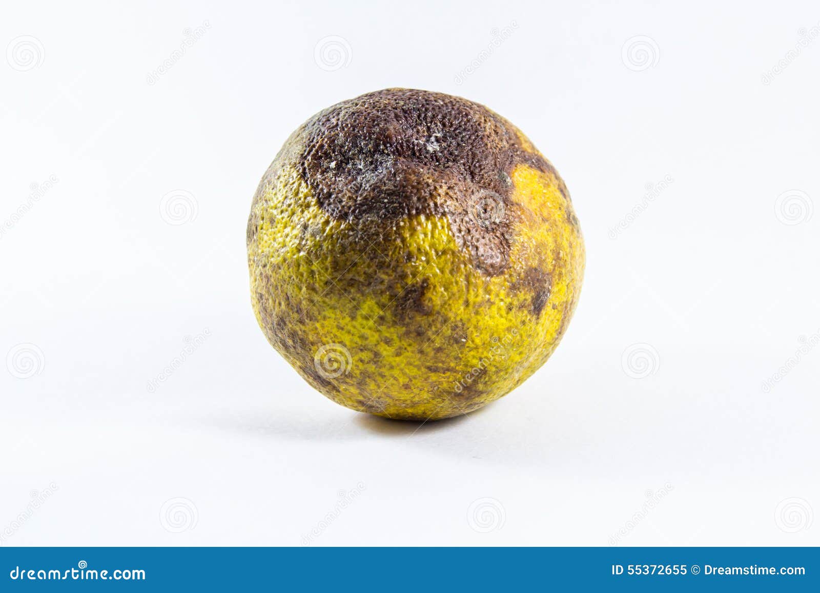 Rotten oranges stock image. Image of putrid, acidic, orange - 55372655