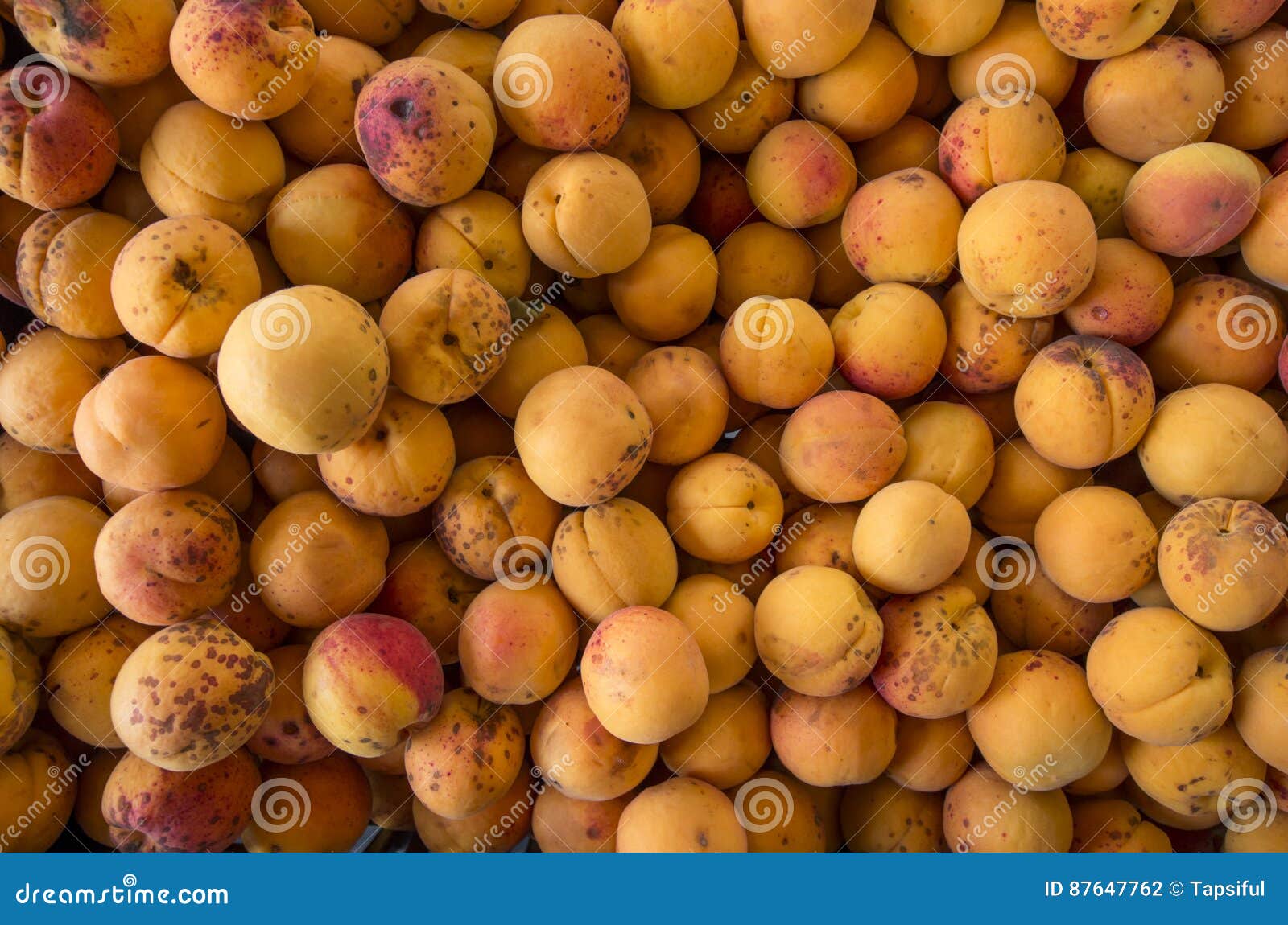 The Rotten Peach Royalty-Free Stock Photography | CartoonDealer.com ...