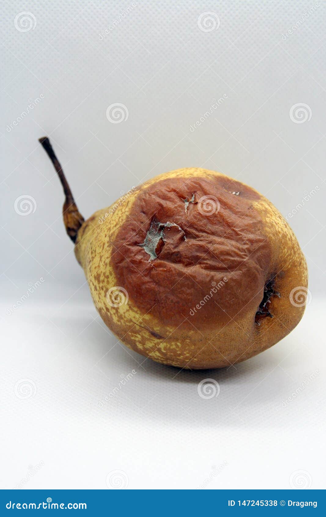 Rotten Pear. Rotten Fruit. Bad Fruit Stock Photo - Image of fall, brown ...
