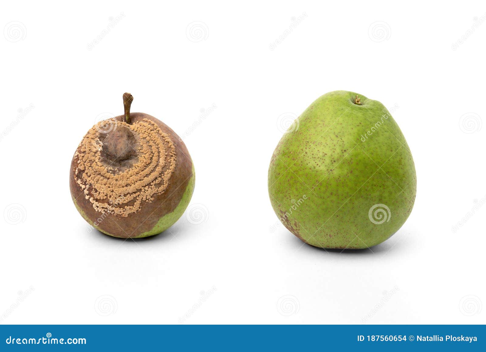 Rotten Pear Isolated on White Background Stock Photo - Image of mango ...