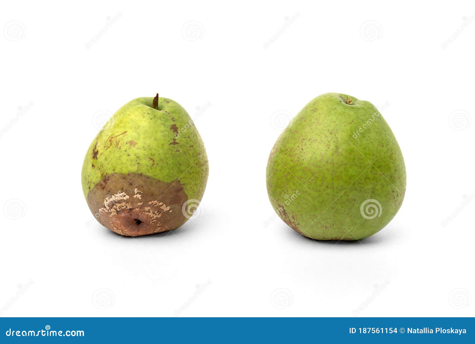 Rotten Pear Isolated on White Background Stock Photo - Image of rotten ...