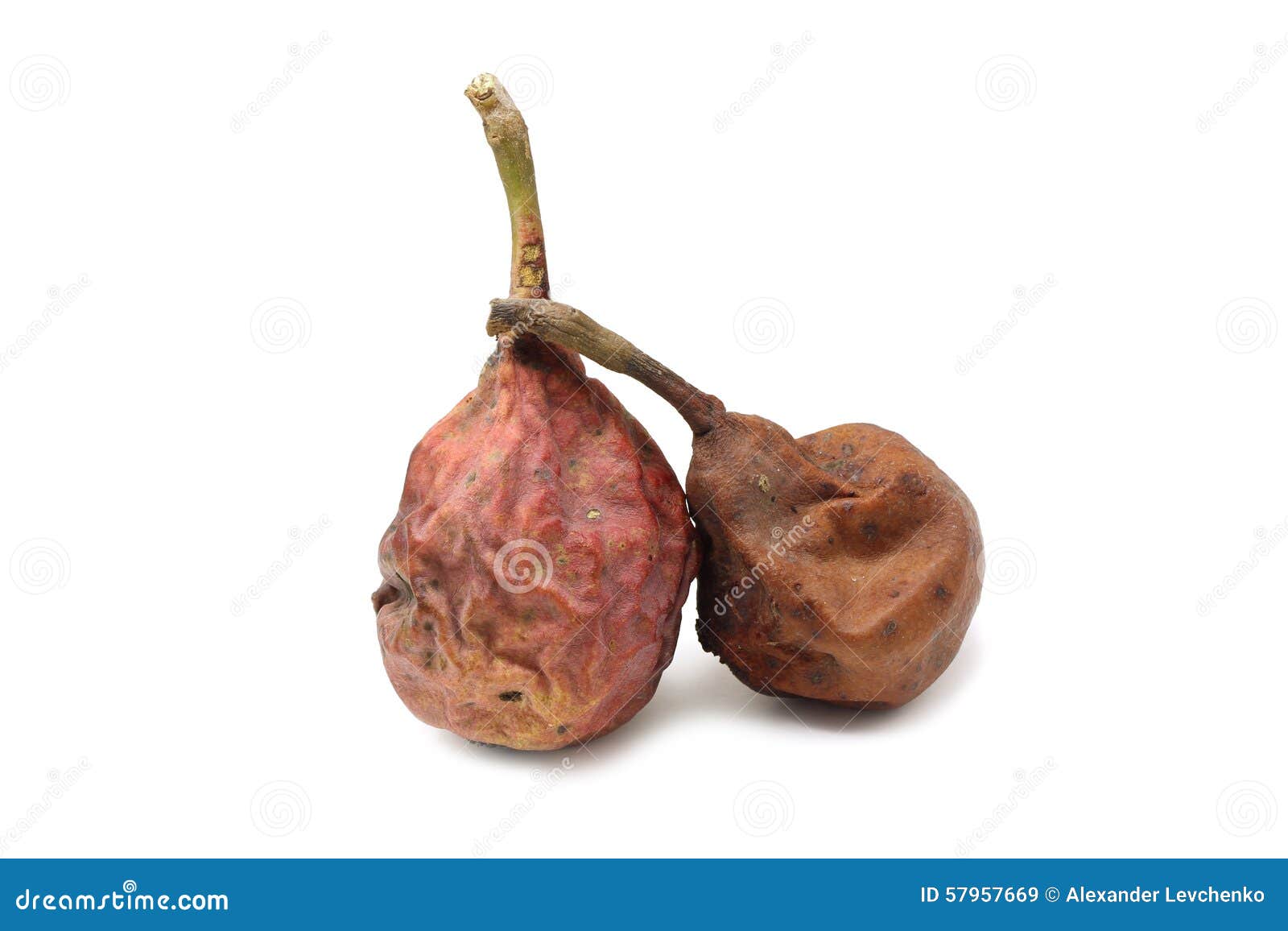 Rotten pear stock image. Image of calories, flora, healthy - 57957669