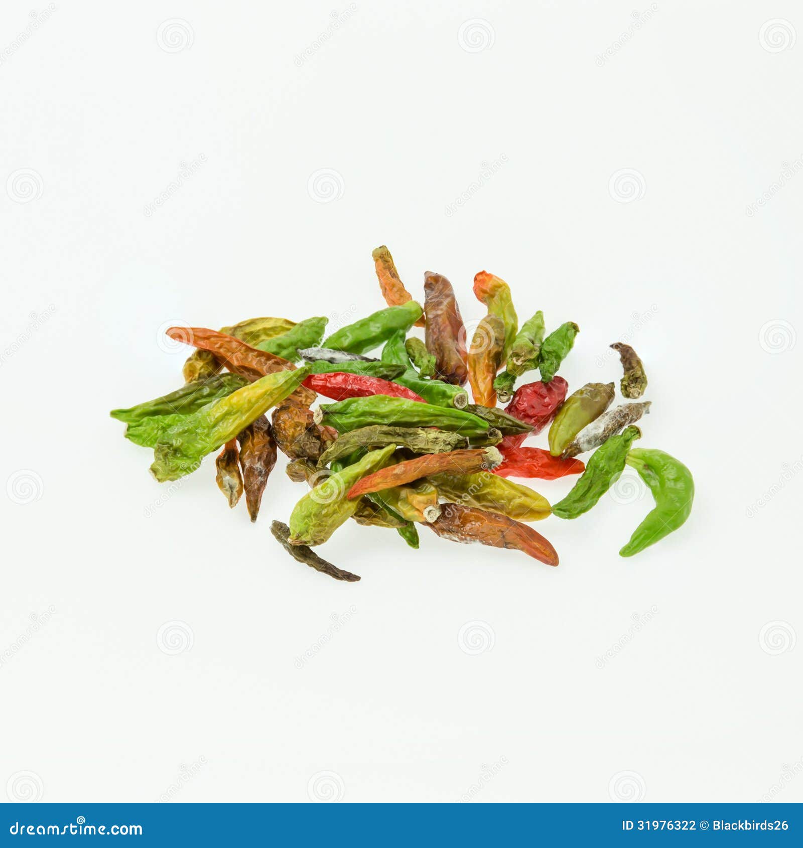 Rotten Pepper stock photo. Image of pepper, spicy, color - 31976322