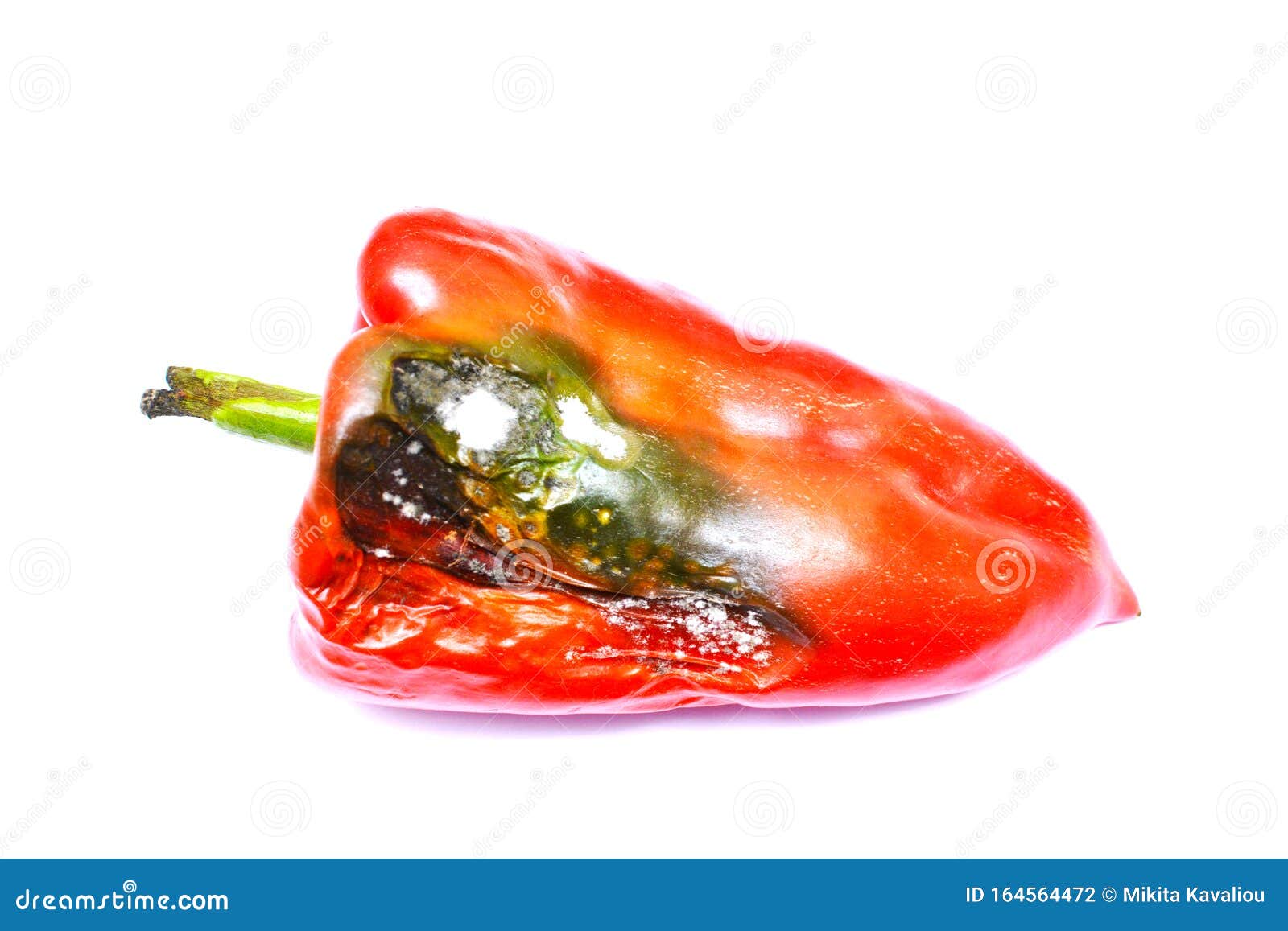 Rotten Pepper Isolated on White Background. Stock Photo - Image of ...