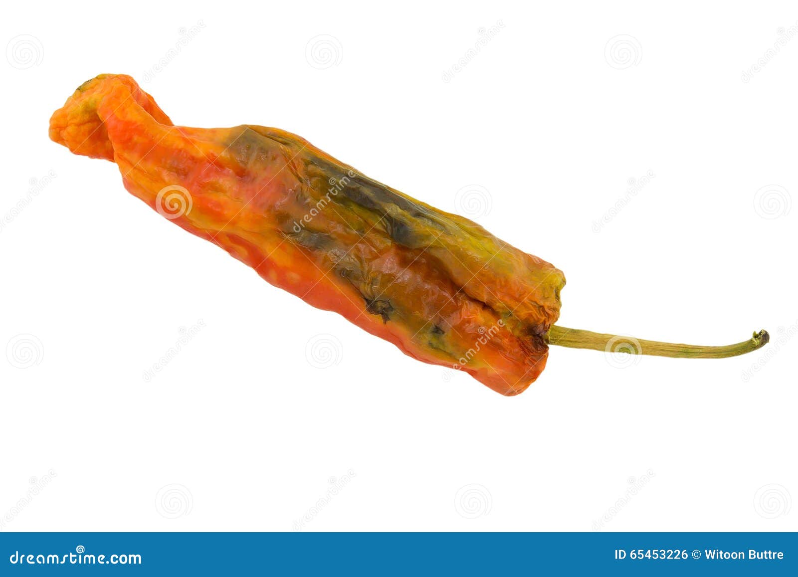 Rotten pepper stock photo. Image of stem, close, wrinkled - 65453226